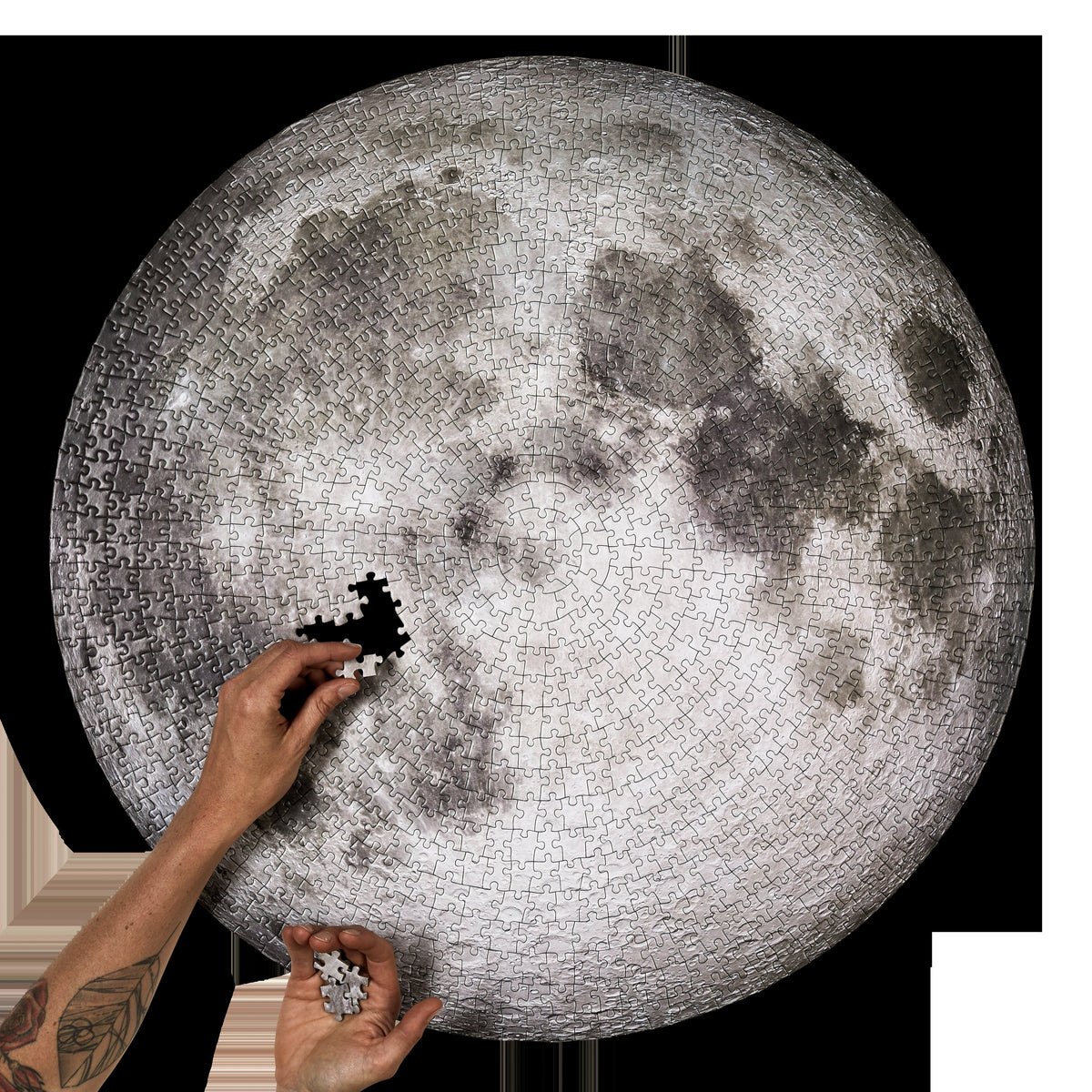 All Puzzles – Parkside